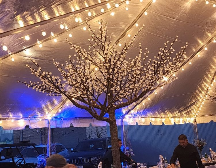 Led light up cherry blossom tree Rentals NYC - Brooklyn Queens ...